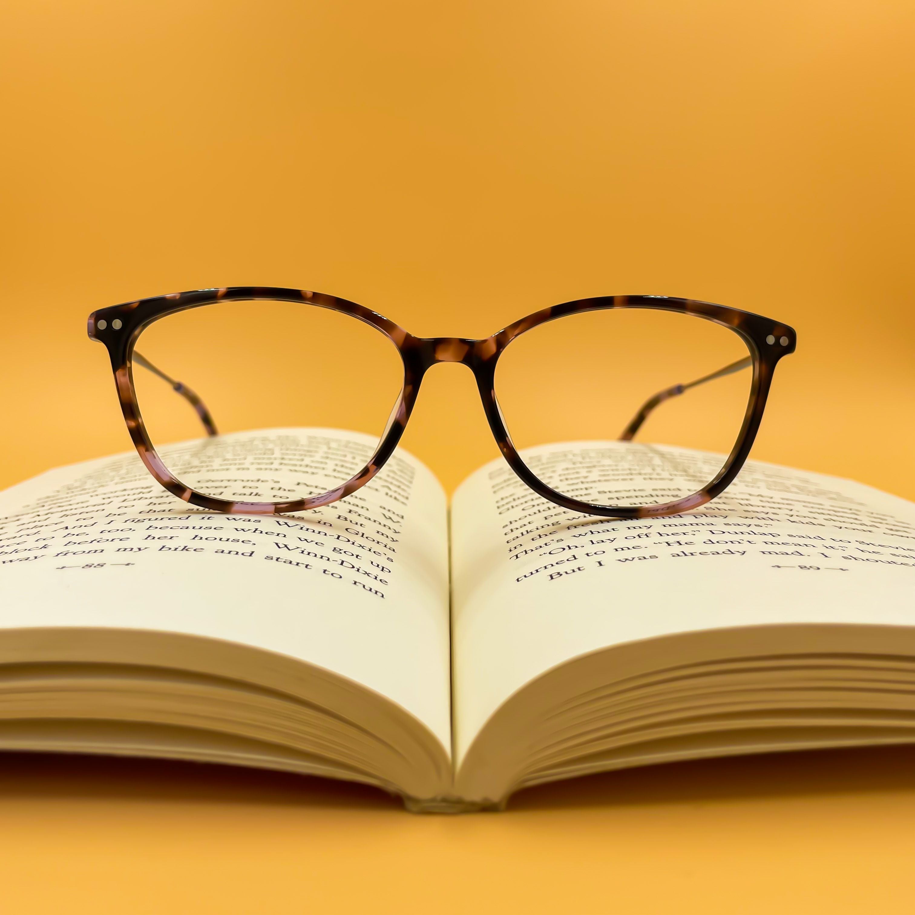 Burt's Frames – burtseyewear